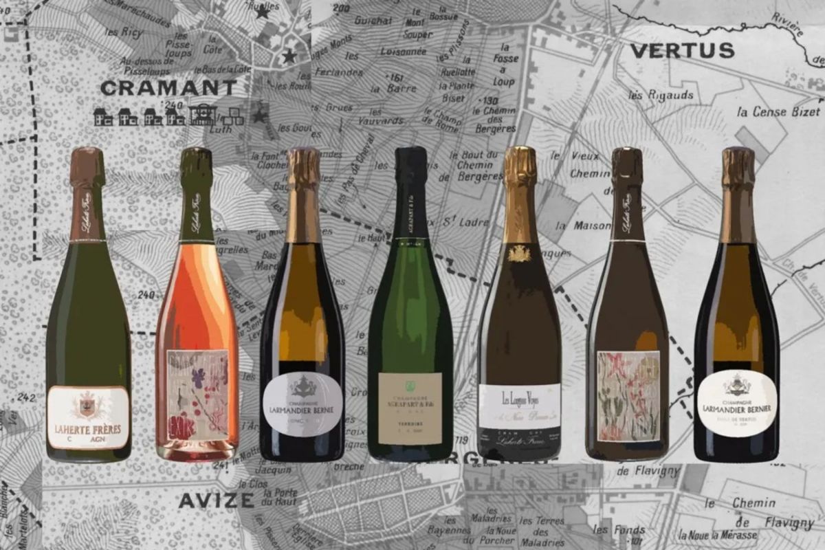 The Growing Trend of Grower Champagne: A Revolution in the Bubbly World